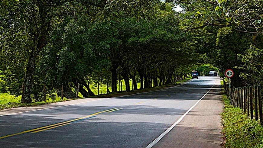 La Vía Entre Medellín Y Caucasia Será Vigilada Por El Ejército Y La