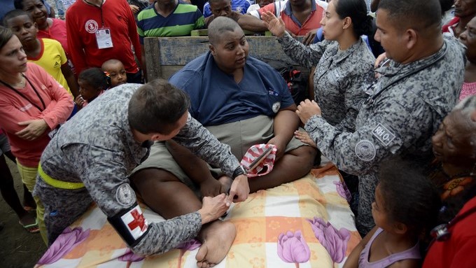 EN FOTO: Pesa 400 kilos, lo trasladaron en helicóptero para brindarle ...