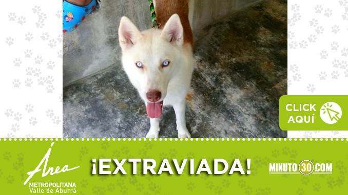 Ayudemos a la familia de "Kitza" a encontrarla, ¡difundamos! | Minuto30