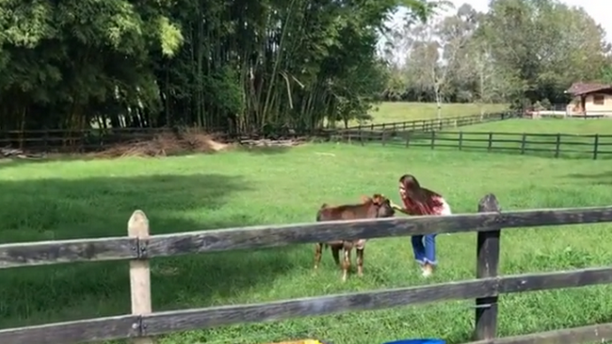 VIDEO: ¡Qué ternura!, La nueva mascota de Greeicy enamora a sus ...