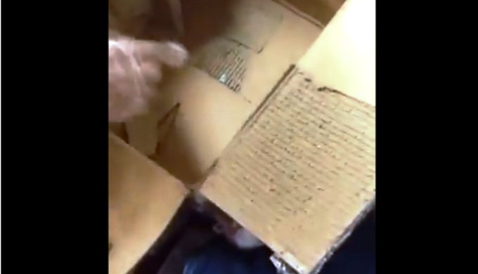 La caja de cartón que iba para Holanda era 'pura' cocaína - Minuto30