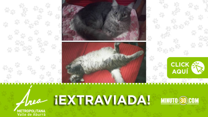 'Emily' se perdió en Playa Rica | Minuto30