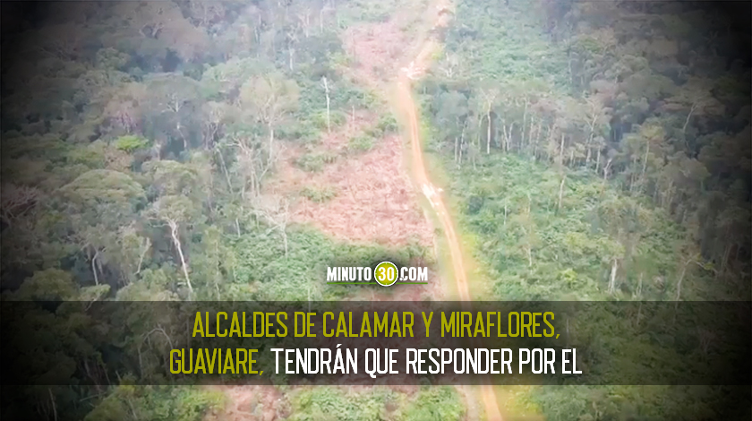EN VIDEO:¡Qué descaro! La deforestación se triplicó en Guaviare, al ...