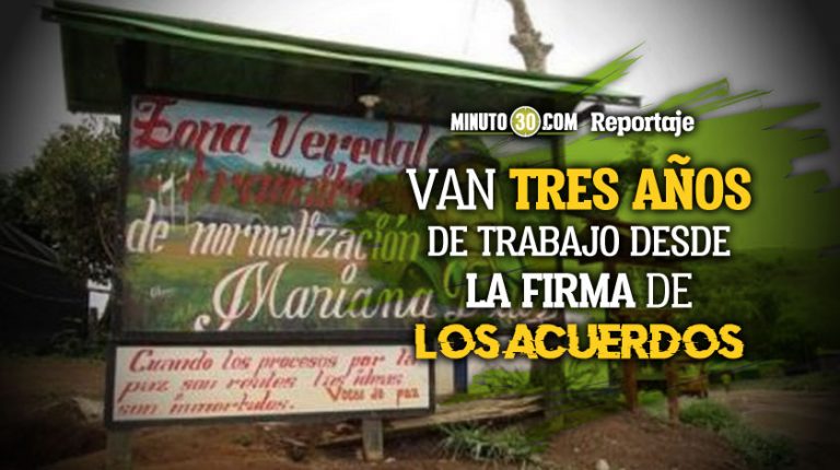 Reincorporación A La Sociedad Por Parte De Excombatientes De Las Farc
