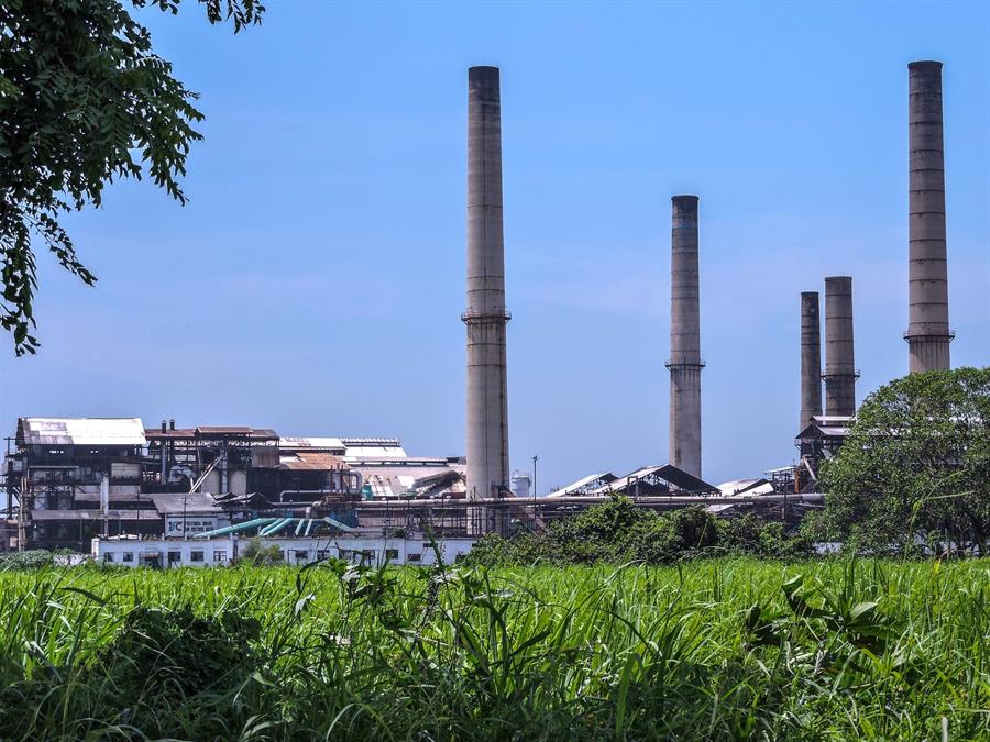 Sector azucarero mexicano se activa para producir alcohol y gel ...