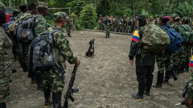 Fotolibro de las Farc en Museo de Arte Moderno de Nueva York