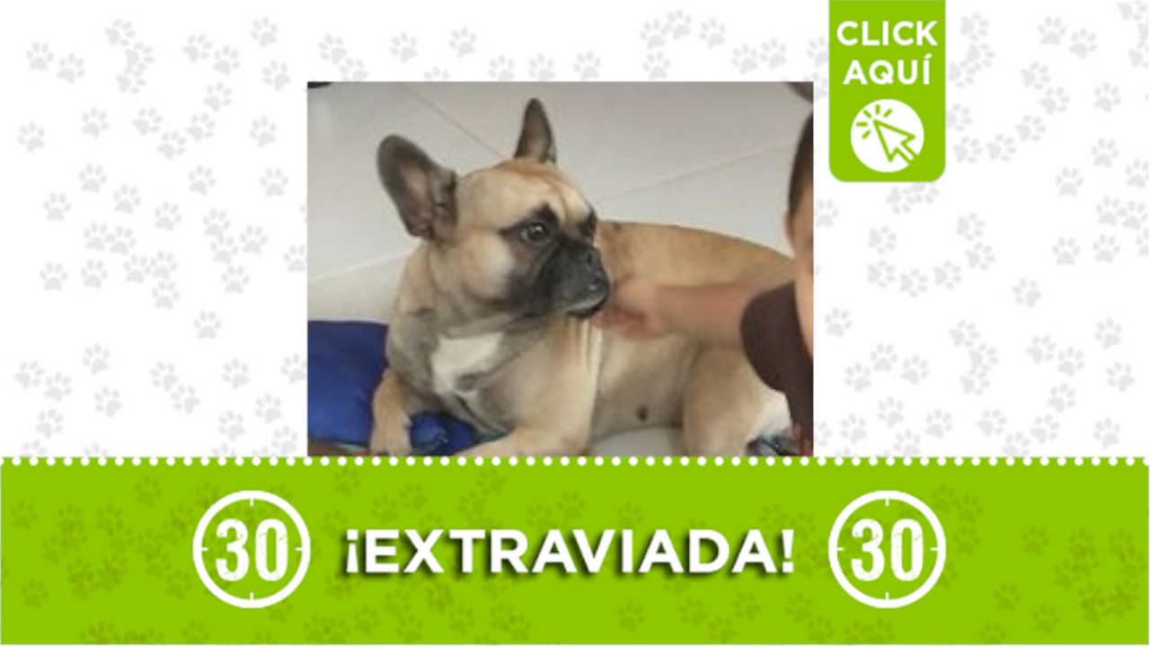 “Tachala” se perdió en Santa Lucía desde ayer