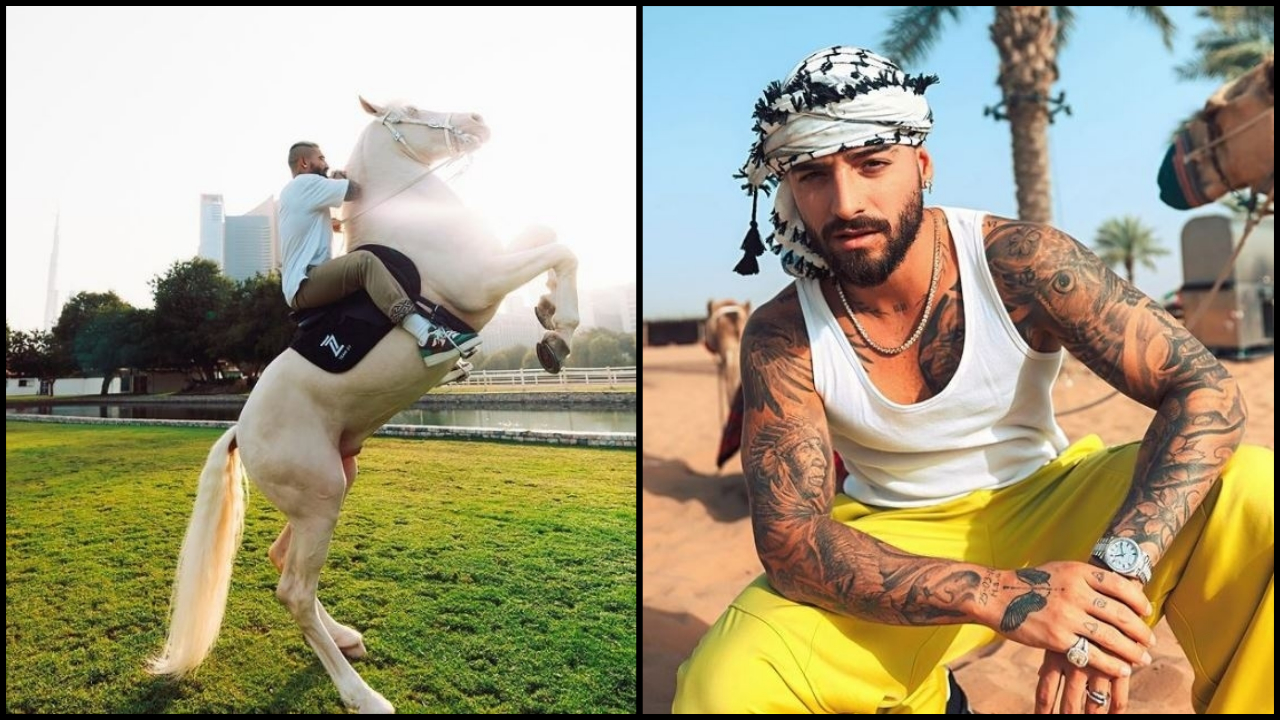 [FOTOS] "Quiero cabalgarte así" Maluma se robo todos los piropos con su ...