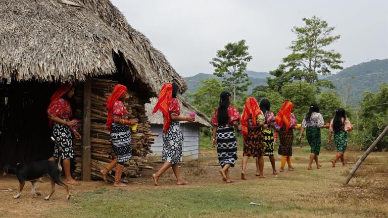 VIDEO: Los tule, el pueblo indígena que resiste en la frontera colombo ...