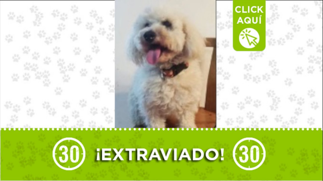 "Tite" se perdió en Santa Elena