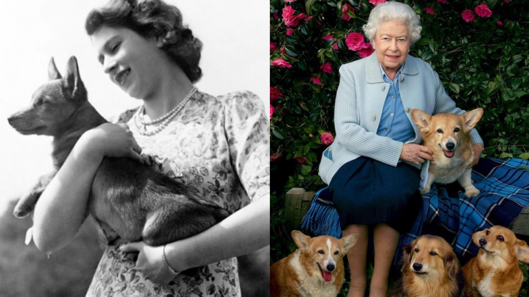 ¡Fieles hasta el final!: Los corgis de la reina Isabel II hicieron ...