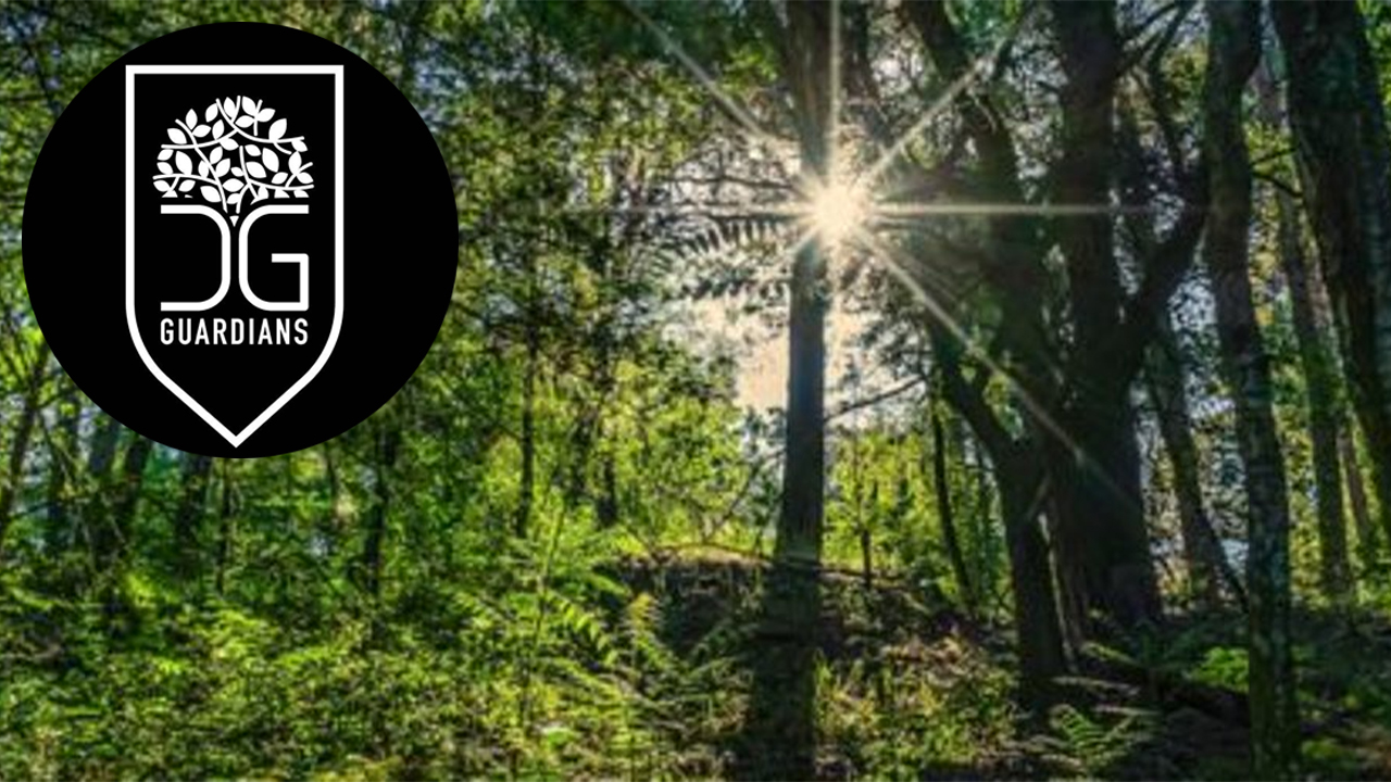 GD Guardians estará en la convención de desarrolladores