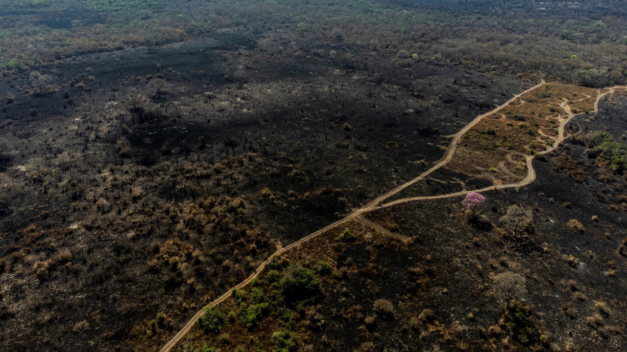 El humedal más extenso del planeta se está secando