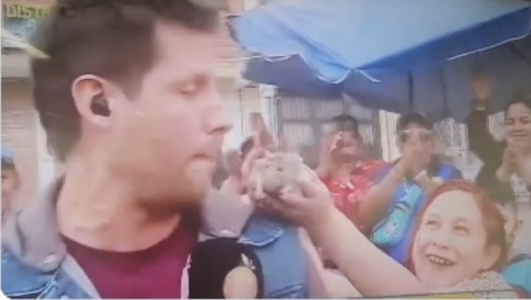 Periodista colombiano estaba en directo cuando le puso rata al lado del ...