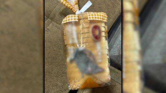 [VIDEO Y FOTOS] ¡Qué asco! Encontró una rata dentro de la bolsa de pan ...