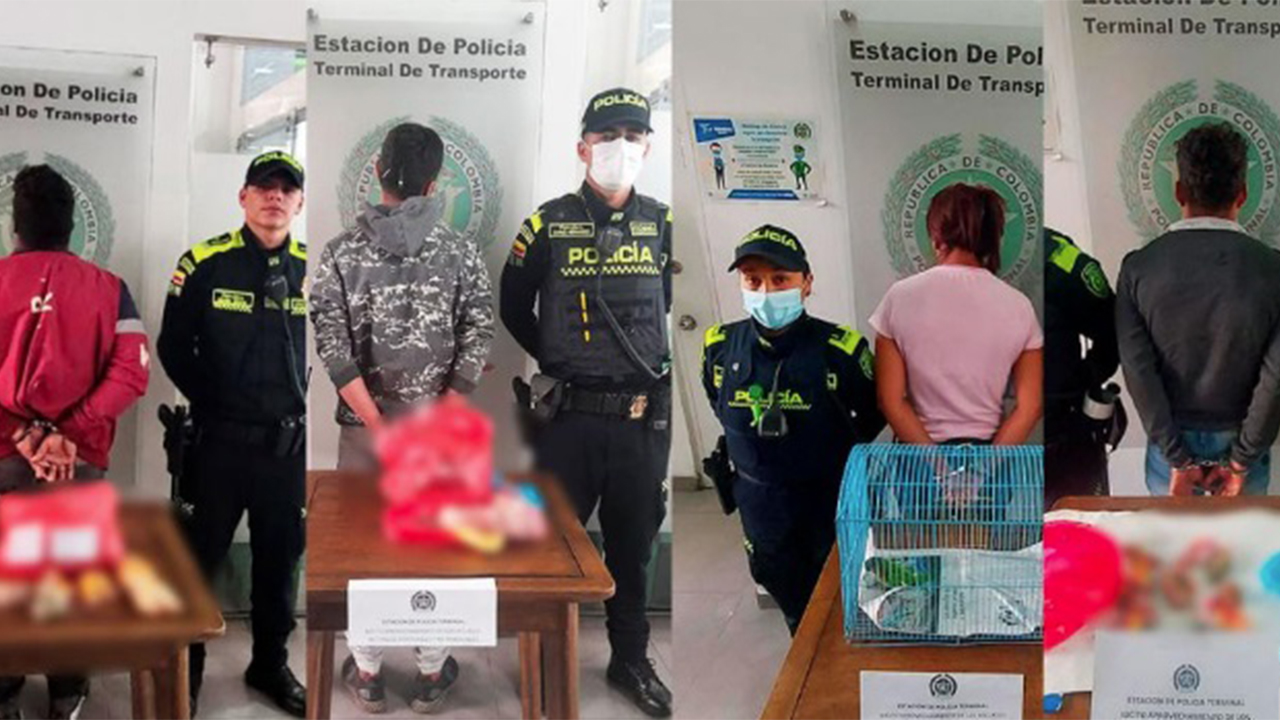 28 capturados por tráfico de aves y carne de animales silvestres en Bogotá