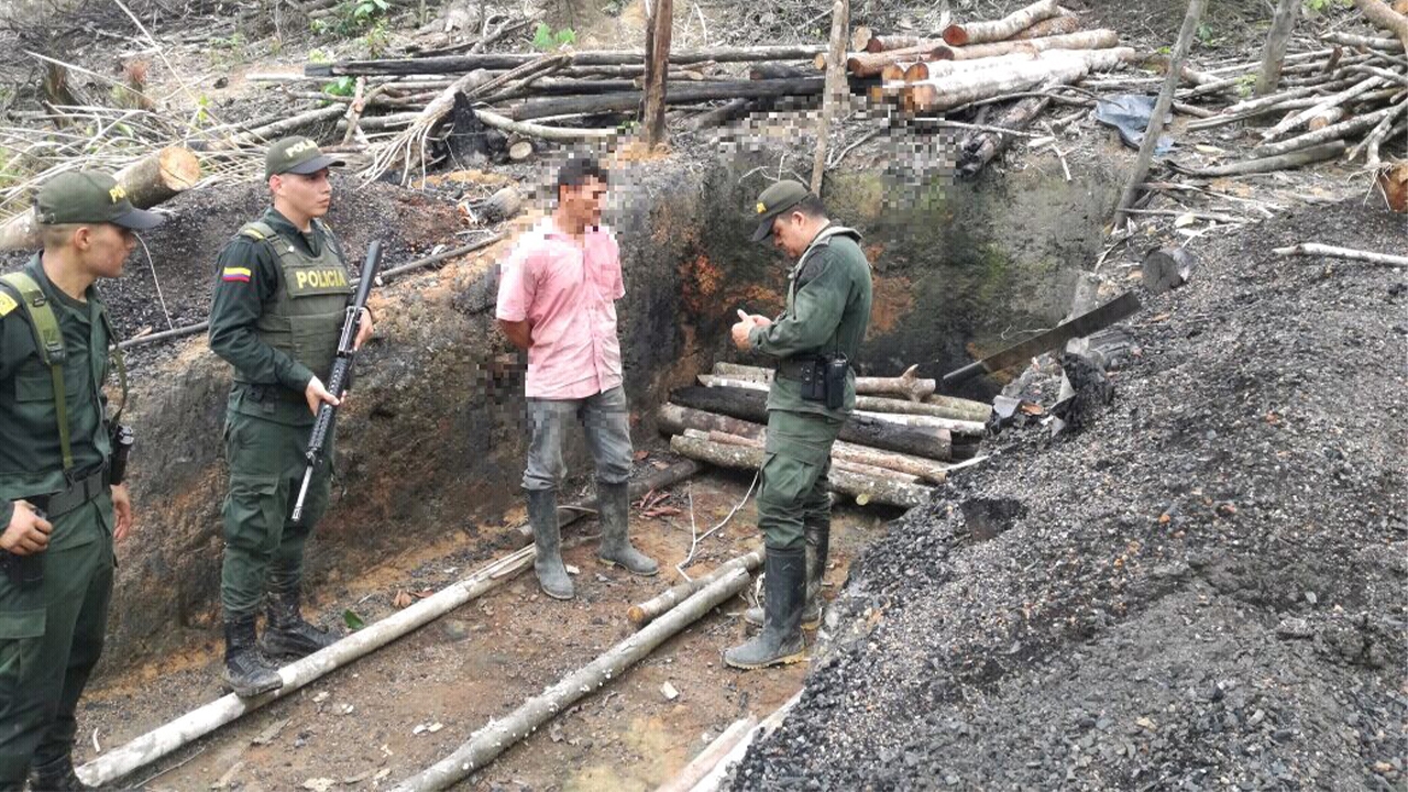 Talar y quemar árboles también da cárcel, al encartado le pillaron un ...