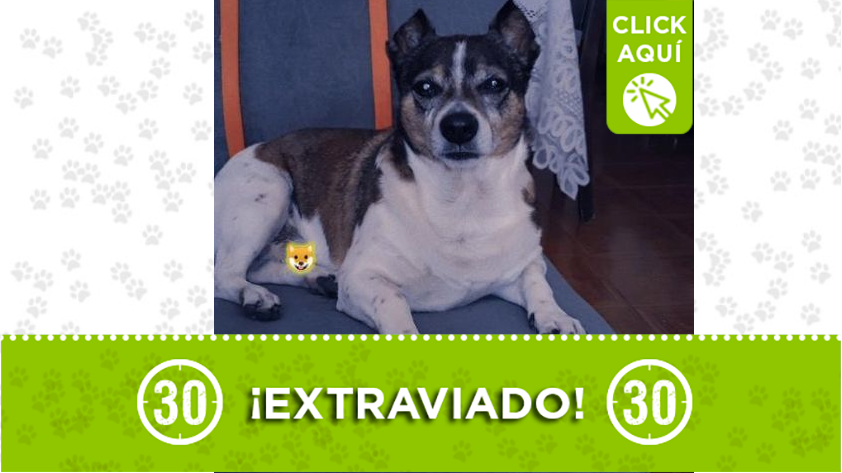 'Tony' se perdió Robledo Miramar | Minuto30