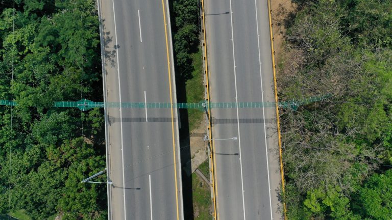 16 pasos de fauna se construyeron en la Autopista al Mar 1 | Minuto30