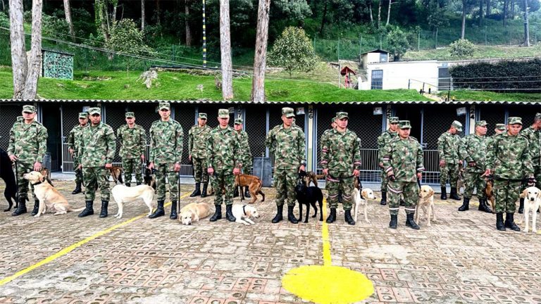 VIDEO Y FOTOS. ¡Muy tesos! Así es el entrenamiento militar para perros ...