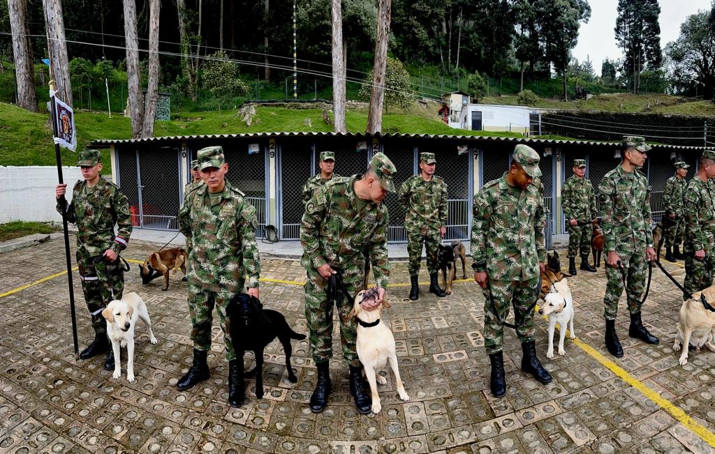 VIDEO Y FOTOS. ¡Muy tesos! Así es el entrenamiento militar para perros ...