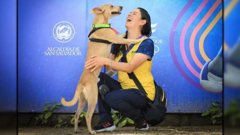 Video. “Colombo”: el perrito que fue adoptado por la delegación ...