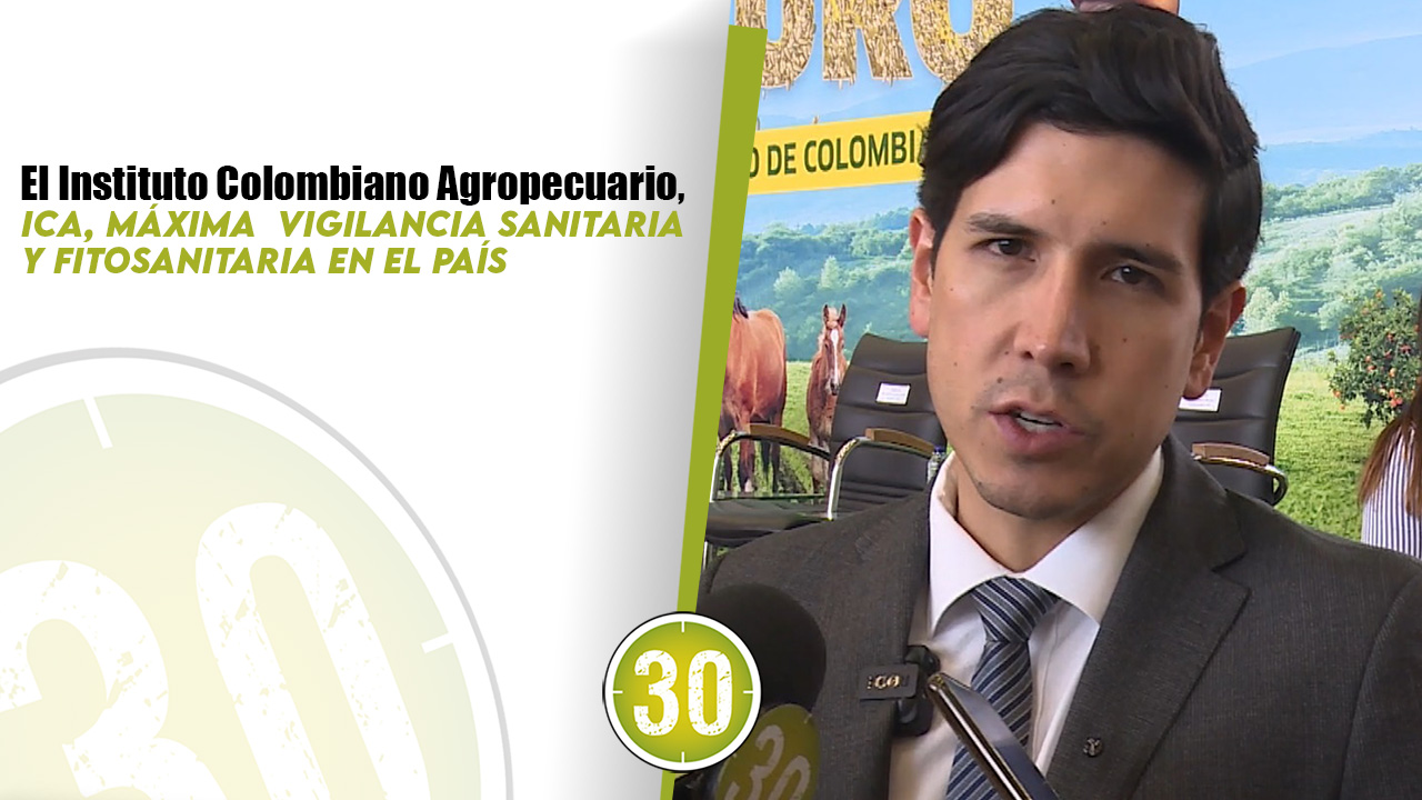 VIDEO. El ICA redefine sus objetivos para impulsar el desarrollo ...