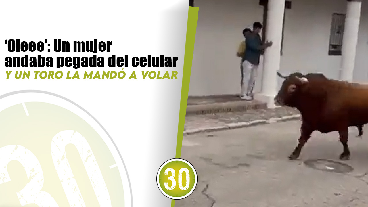 VIDEO.‘Oleee’: Un mujer andaba pegada del celular y un toro la mandó a ...