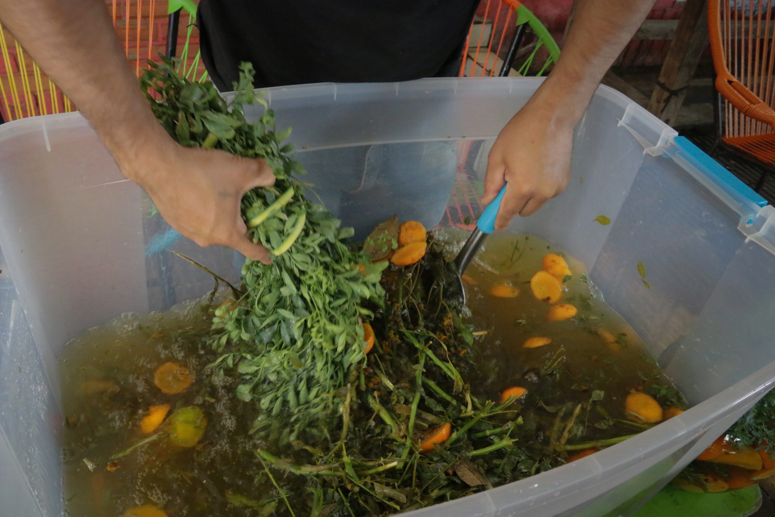 Carrulim, el brebaje ancestral con el que los paraguayos 'ahuyentan' la ...
