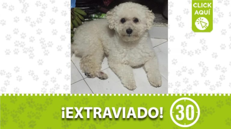 Chiqui se perdió en Robledo Kennedy: Su familia lo busca - Minuto30