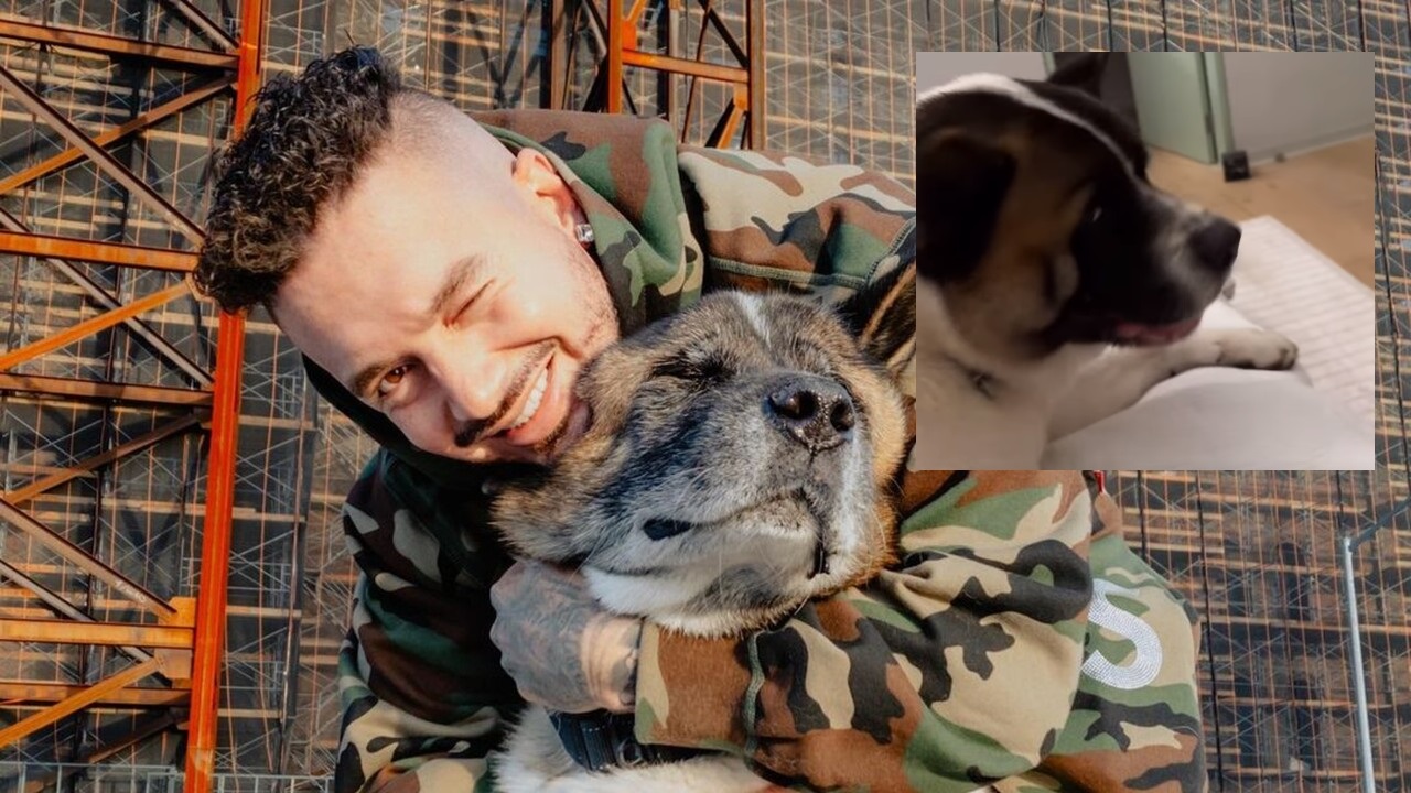 J Balvin "Enzo 2 y lo puedes llamar" | Minuto30