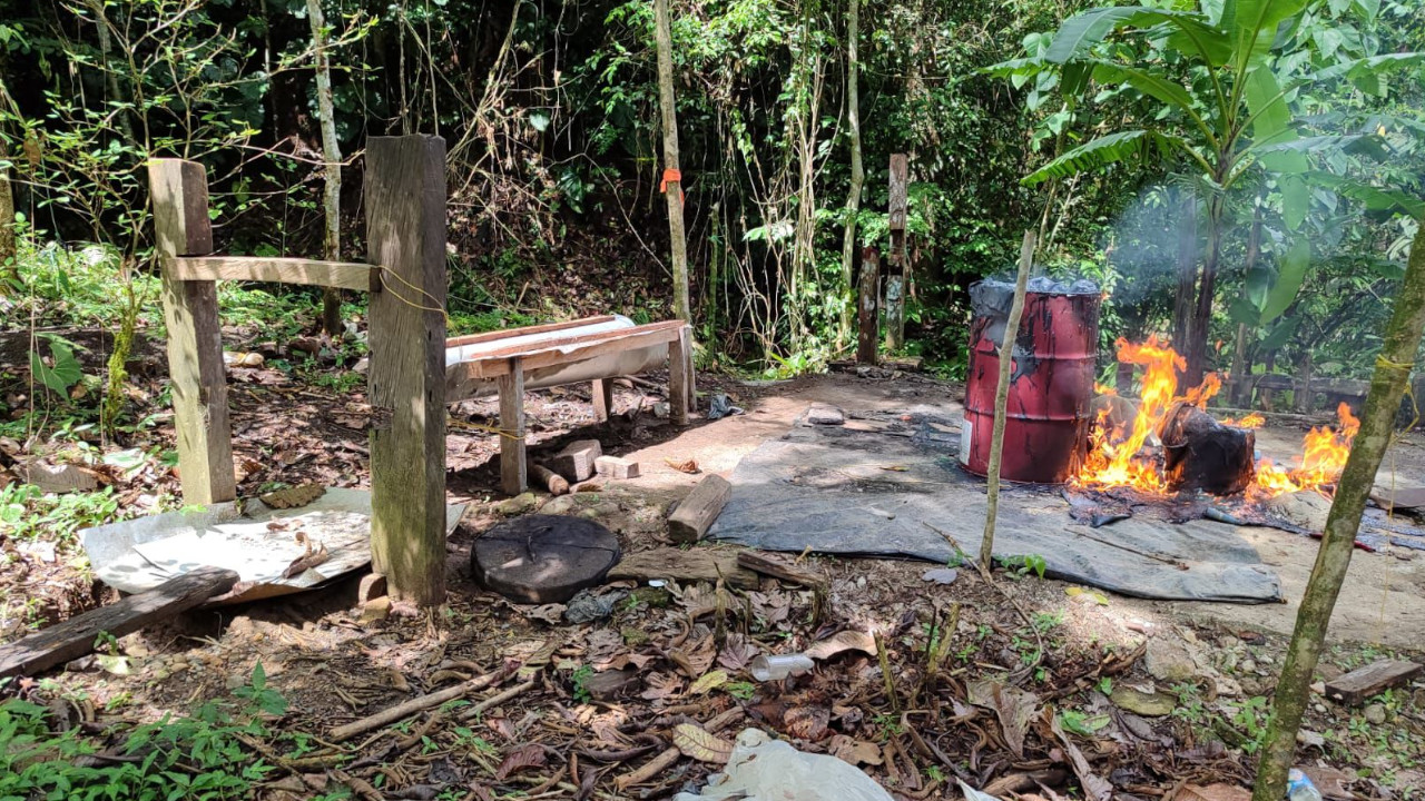Destruyeron laboratorio para el procesamiento de pasta base de coca en ...
